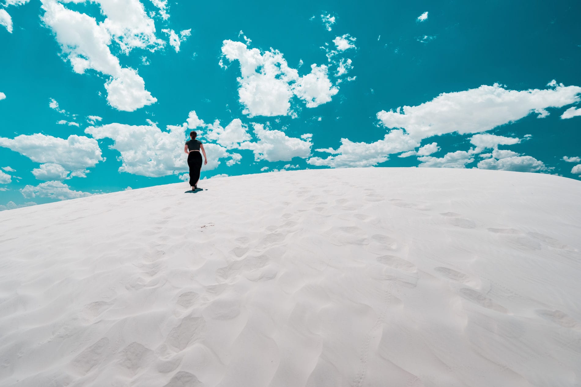 Chicago Reinvented - Meet Danny Mota - Impakter