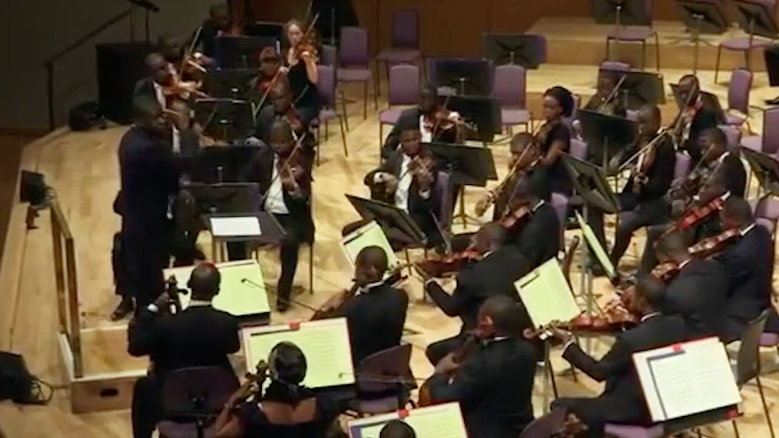 Peacefire - An Interview with Tom Erba - Impakter