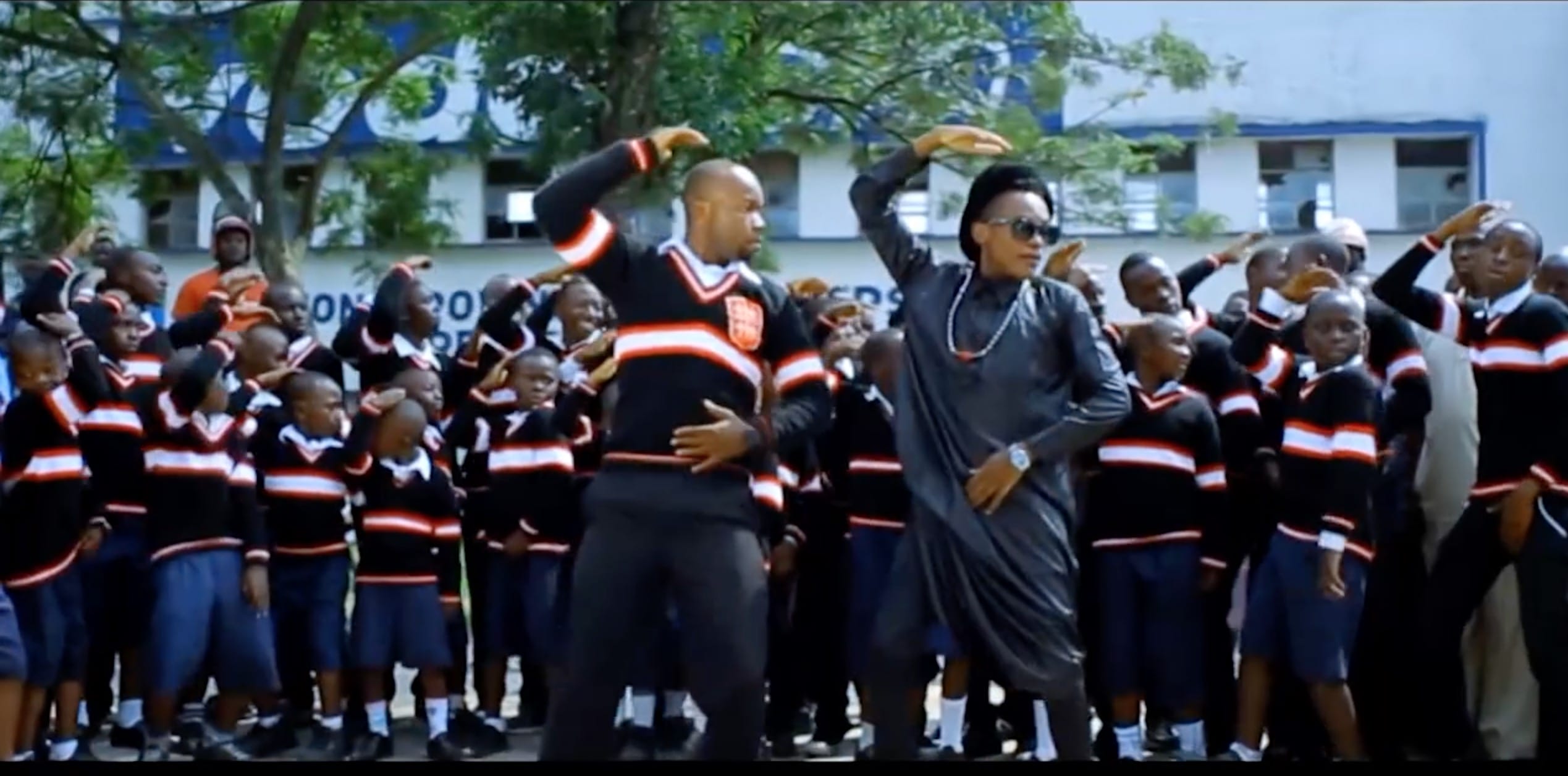 Peacefire - An Interview with Tom Erba - Impakter