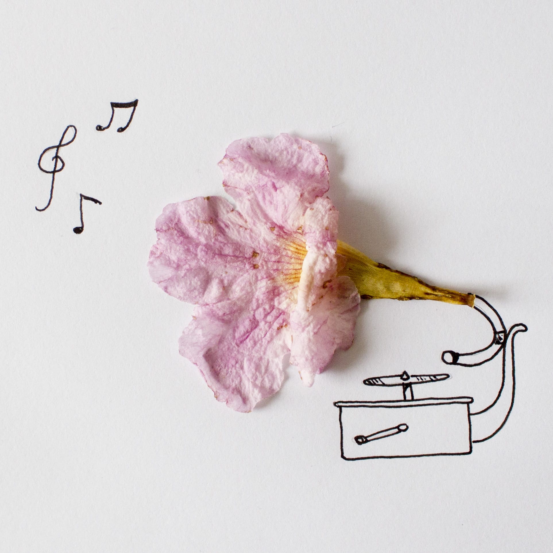 Javier Pérez: Creation of Minimalism Drawing with Real-Life Objects ...