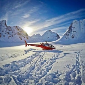 Behind the Lens with MSP Films - Impakter