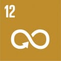 SDG 12: Placing Consumers and Producers at the Heart of Sustainable ...