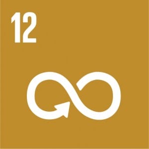 SDG 12: Placing Consumers and Producers at the Heart of Sustainable ...