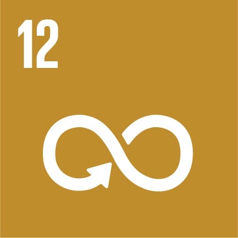 SDG 12: Placing Consumers and Producers at the Heart of Sustainable ...