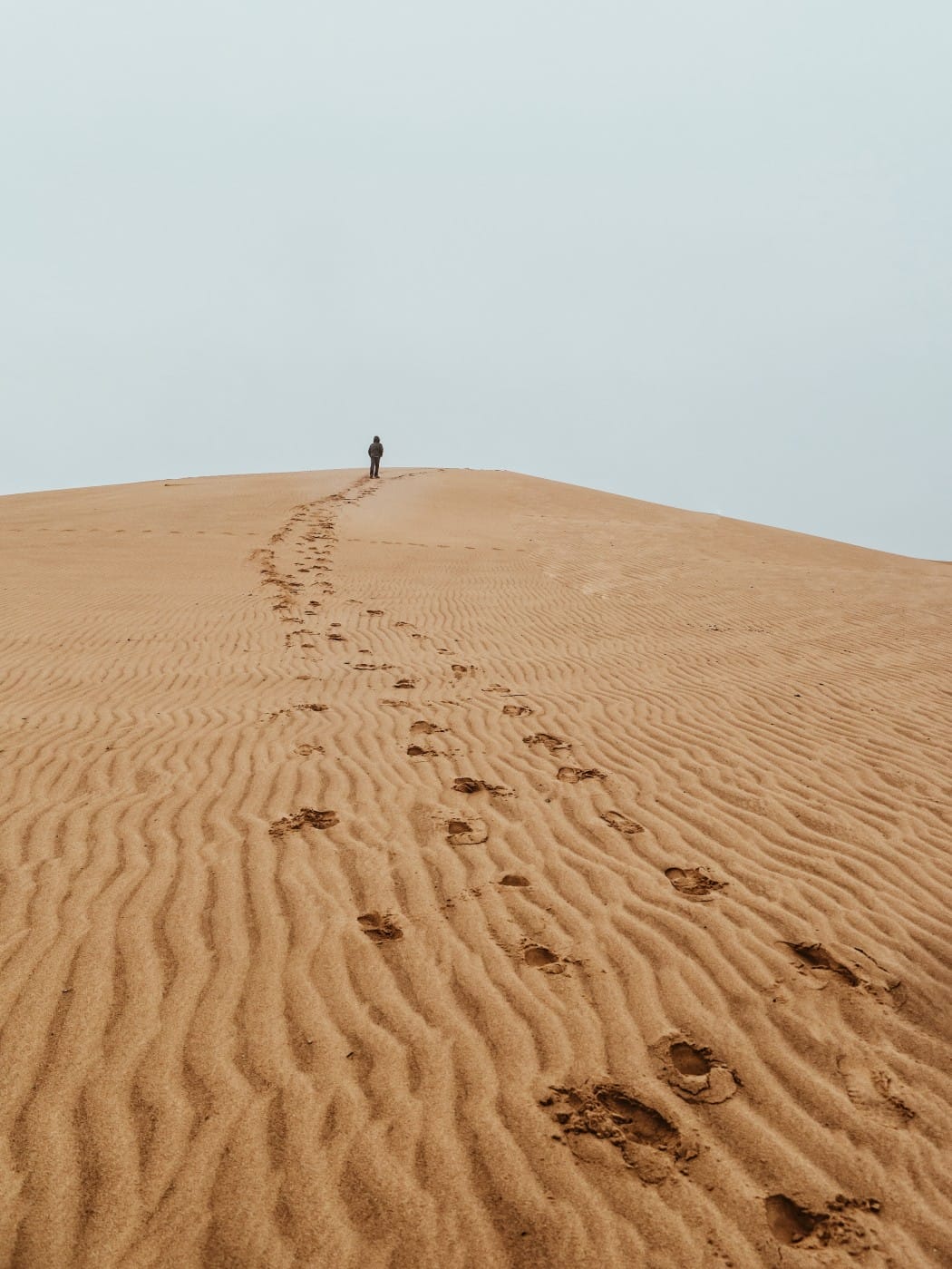 Tim Landis: The Curious Photographer - Impakter