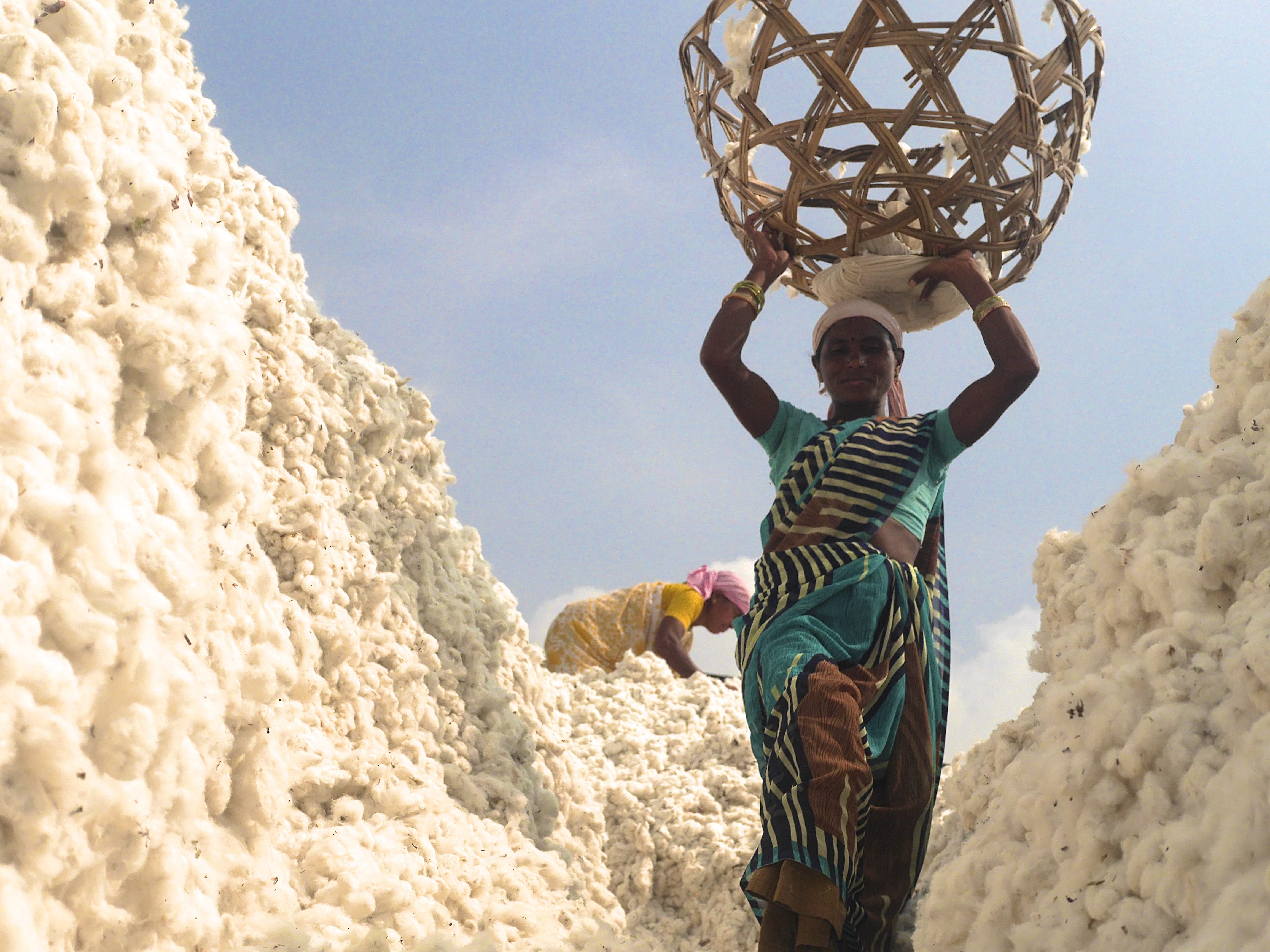 Do You Know How Your Clothes Are Made? Project JUST Does. - Impakter