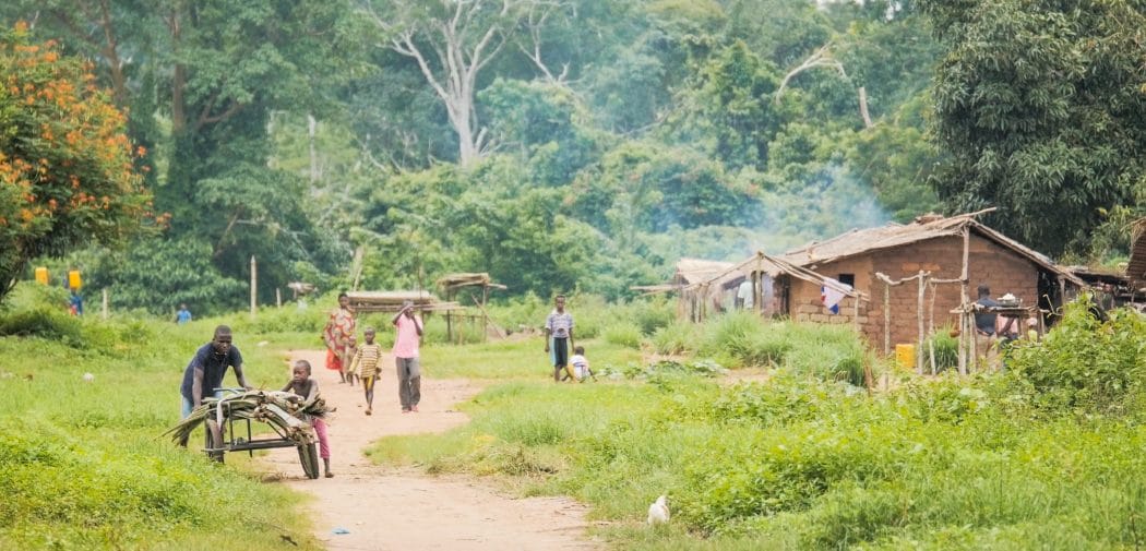 Placing Forests at the Heart of the SDGs - Impakter