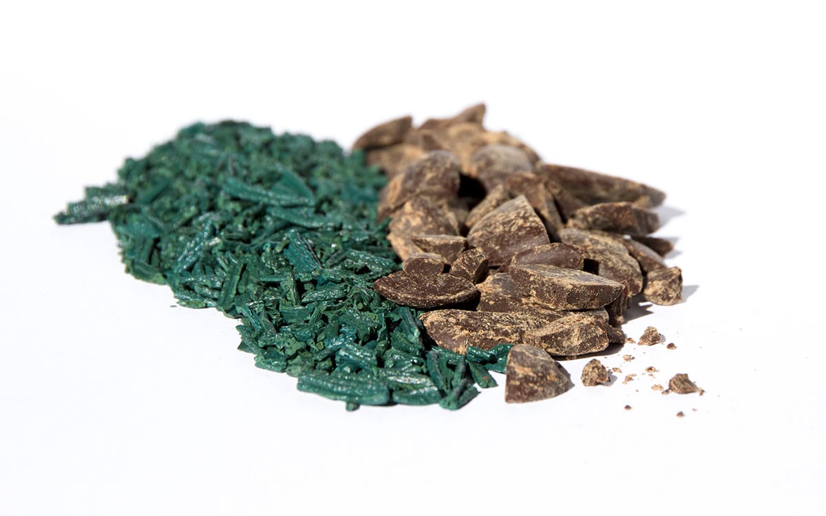 Every Bite Makes an Impakt: The Algae Factory - Impakter