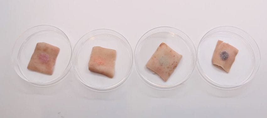 Dermal Abyss – Where the future of health tech meets body art - Impakter