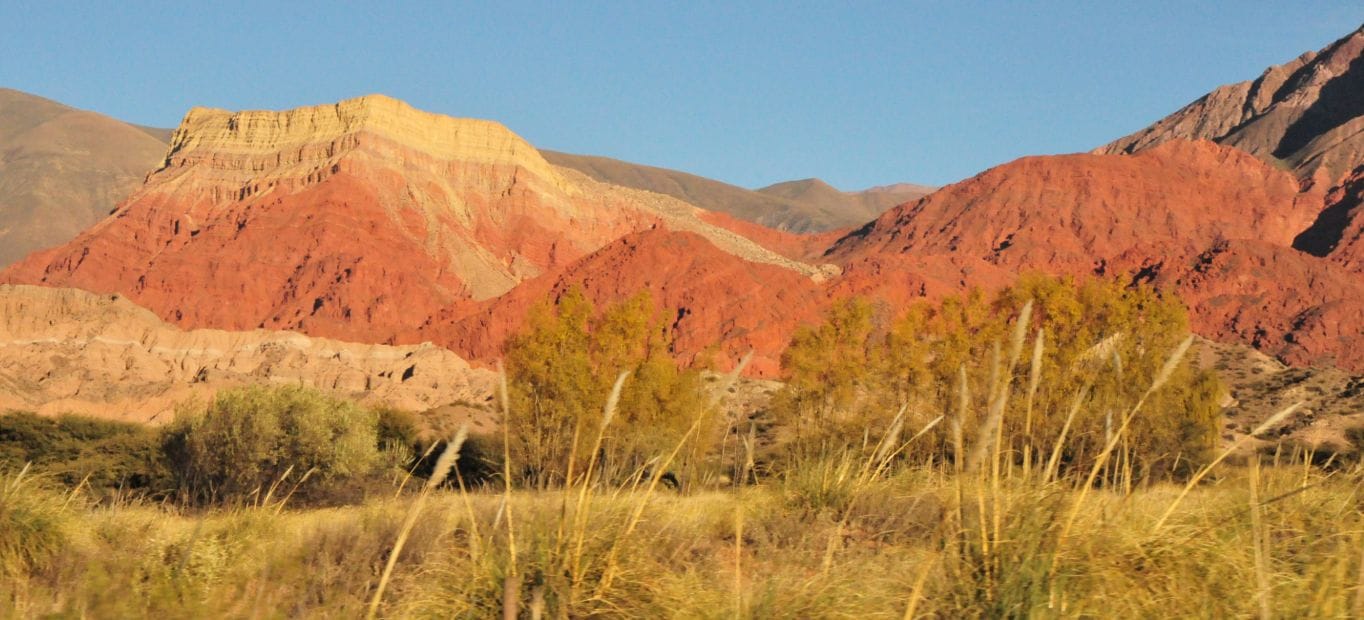 The Andean Region: a place to conserve - Impakter