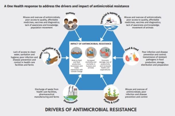 The Global Crisis of Antimicrobial Resistance: How to Fight It - Impakter