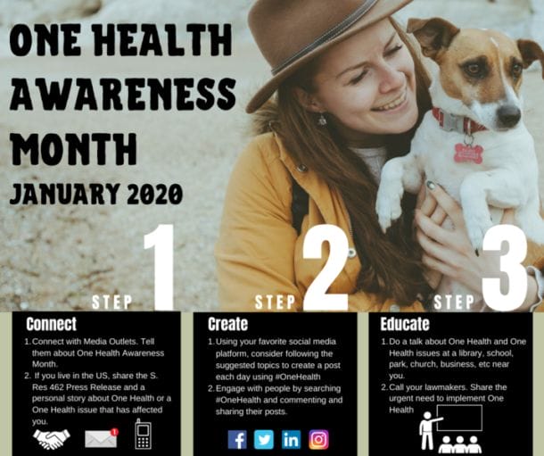 Coronavirus from China: Why One Health Is The Solution - Impakter