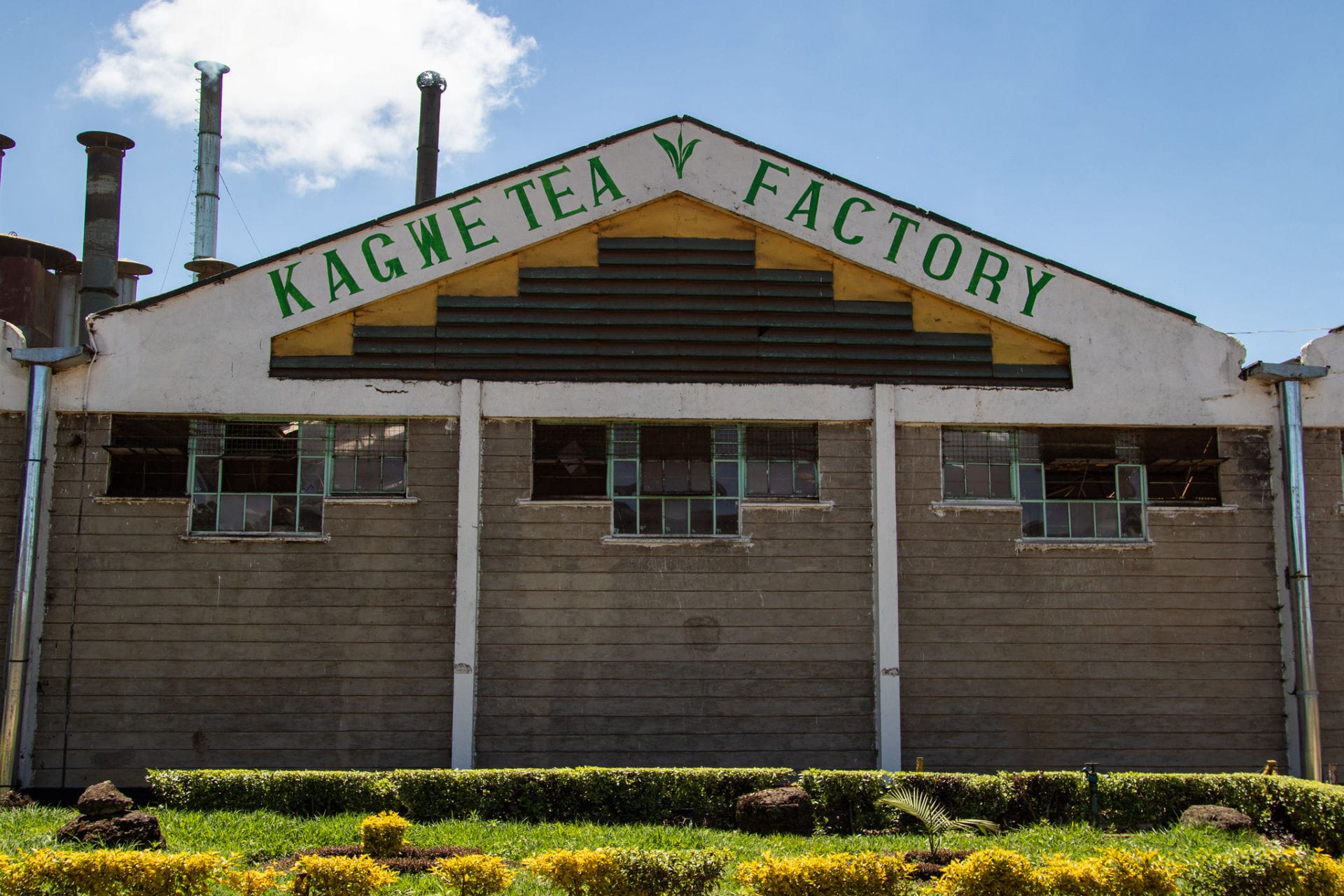 Investing in Clean Energy in Kenya’s Tea-Growing Landscapes - Impakter