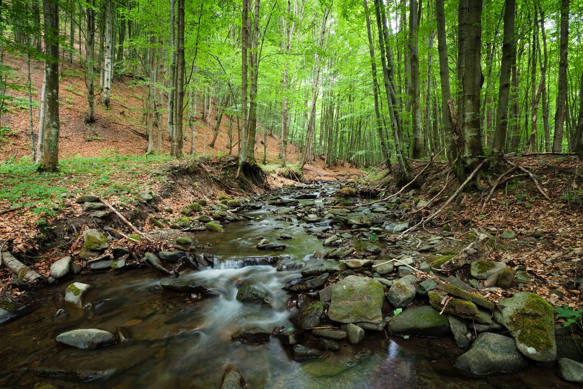 A Virtual Journey to Some of the Most Wondrous Landscapes of the Earth ...