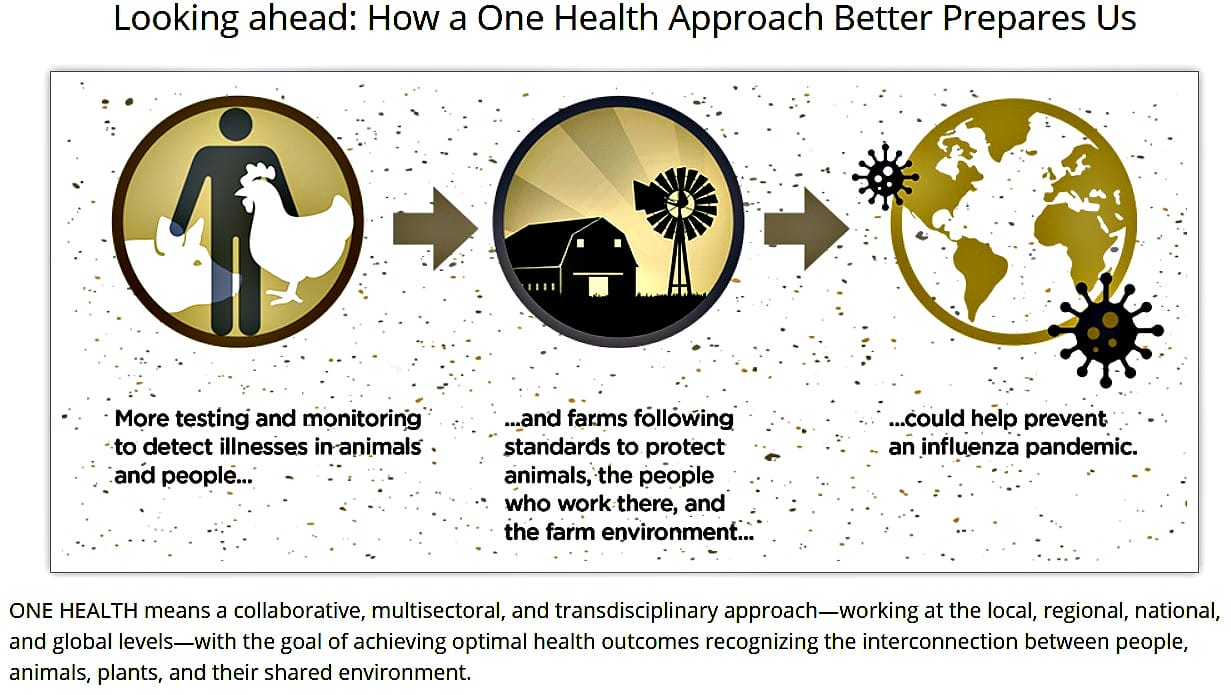 Health Illiteracy - Why a Silent Epidemic Needs a “One Health” Approach ...