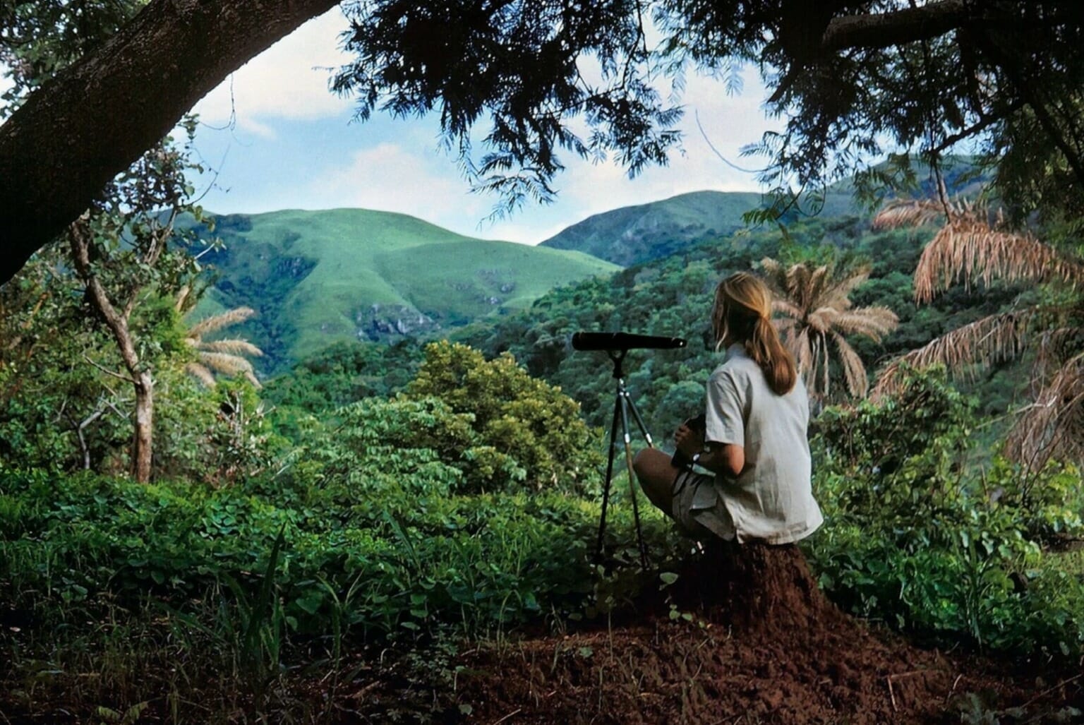 Top Photographers Use Art to Raise Environmental Awareness - Impakter