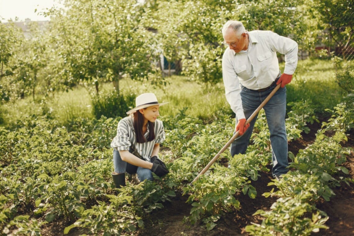How To Encourage Older Adults To Adopt A More Sustainable Lifestyle
