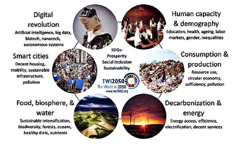 How to Save our Common Future: The Global One Health One Welfare ...