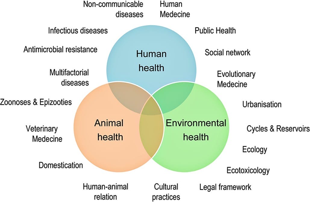 One Health is Critical in Dealing with Infectious Diseases But Few ...