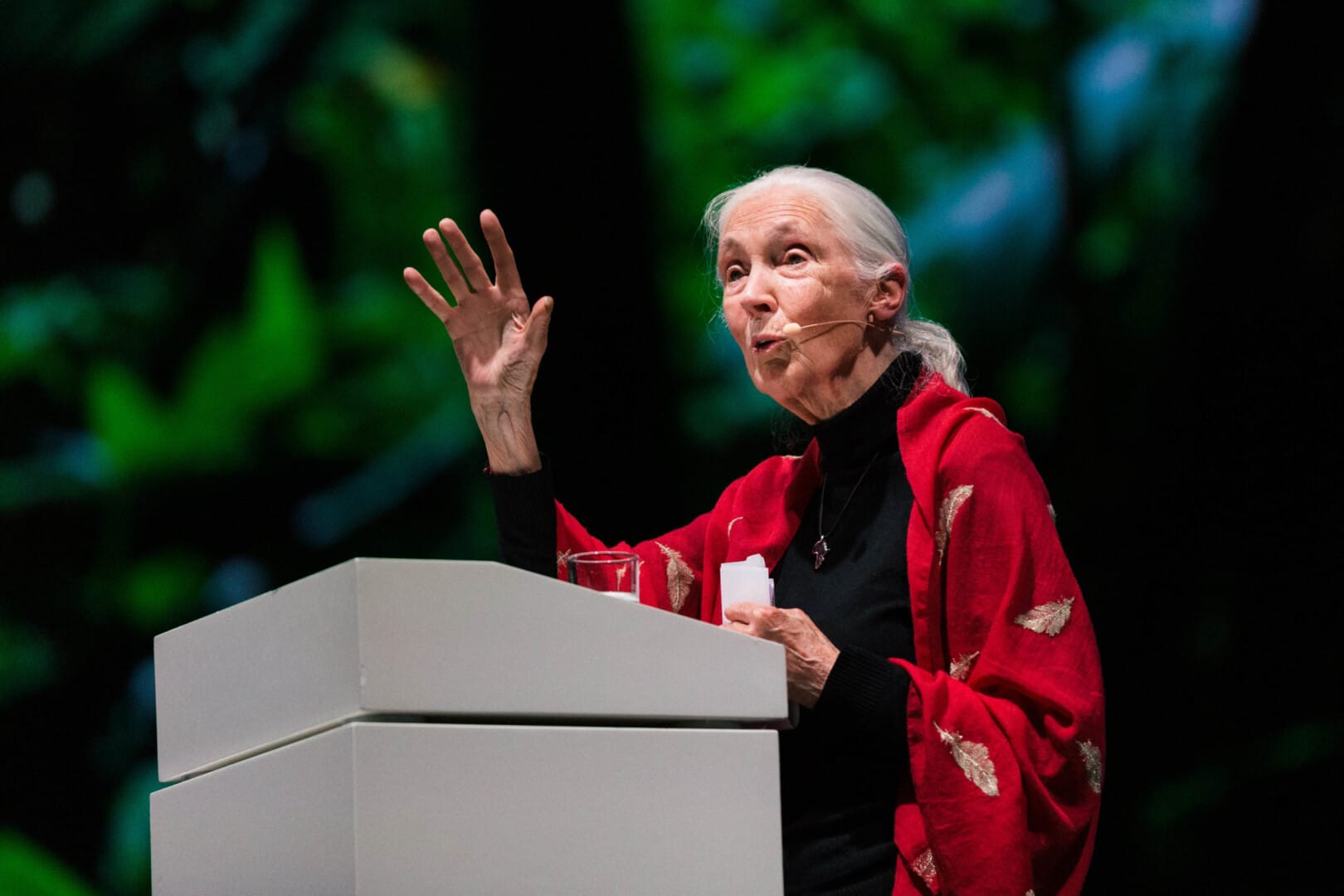 10 Incredible Female Climate Activists You Should Know