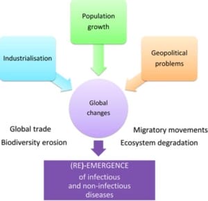 One Health is Critical in Dealing with Infectious Diseases But Few ...