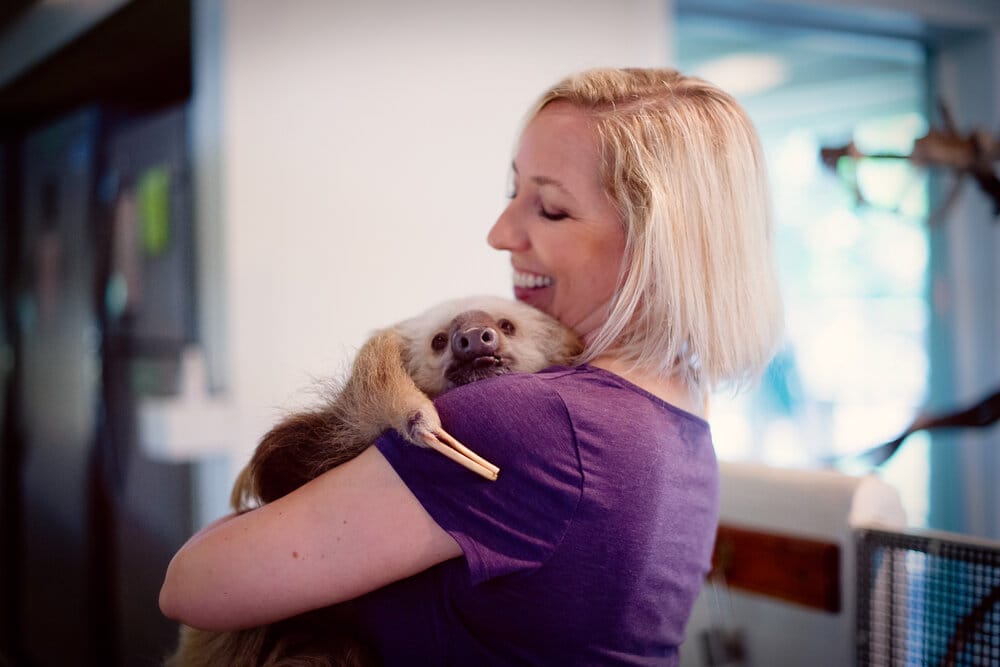 "The Wisdom Of The Wild": Nature's Guide To Eco-Leadership - Impakter