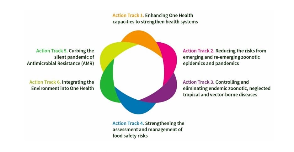 Hopeful Signs for Global Public Health? We’ve Seen This Before - Impakter