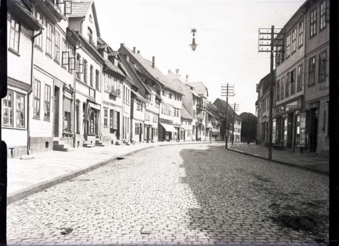 We Have to Start Now: Interview With Pharmacist and Animal Protection ...