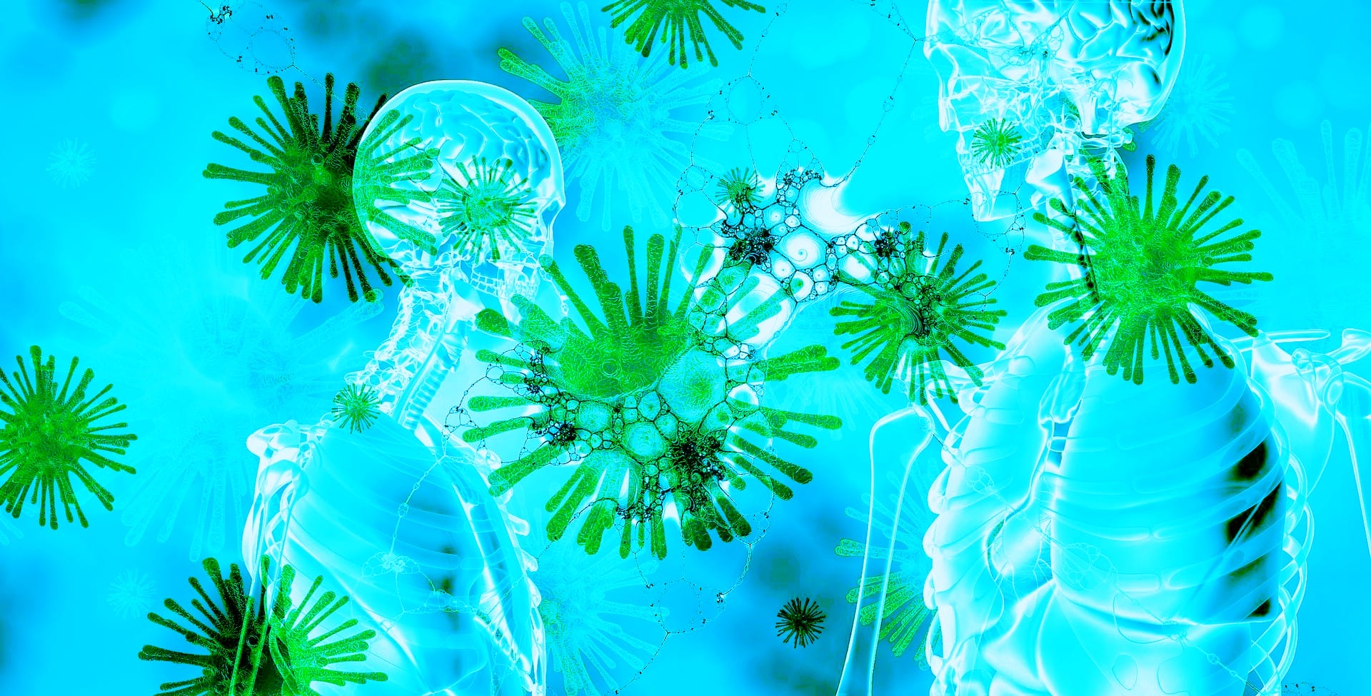 A New One Health Global Action Plan is Out! - Impakter