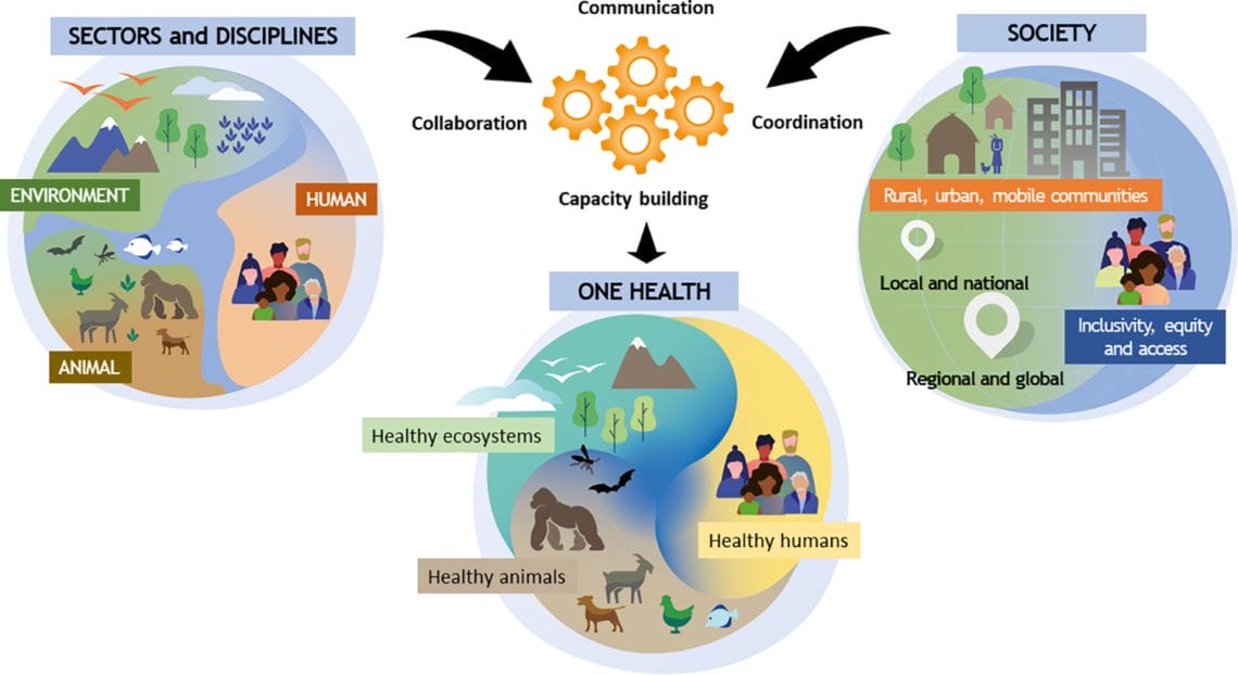 A New One Health Global Action Plan is Out! - Impakter
