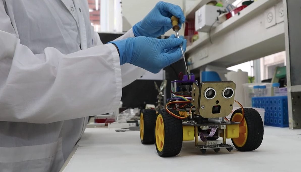 Locust Antennae Give Robot a Powerful Sense of Smell