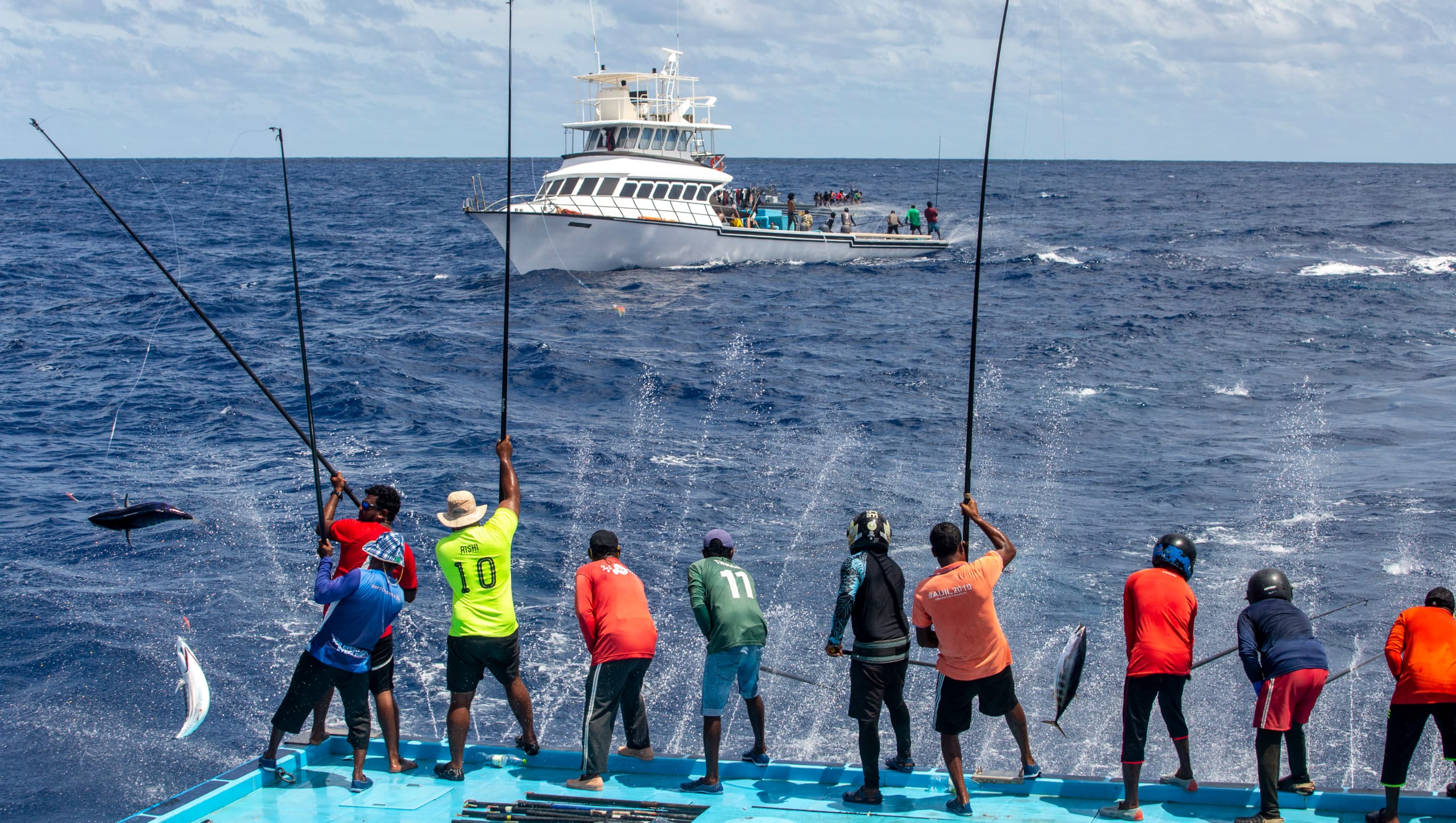 World Oceans Day Must Be Humans Day, Says FAO Fisheries Chief - Impakter