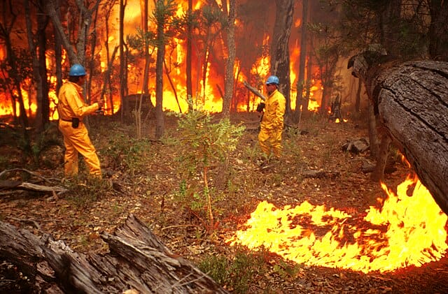 ESG News Recap: US Withdrawal From UN Climate Treaty